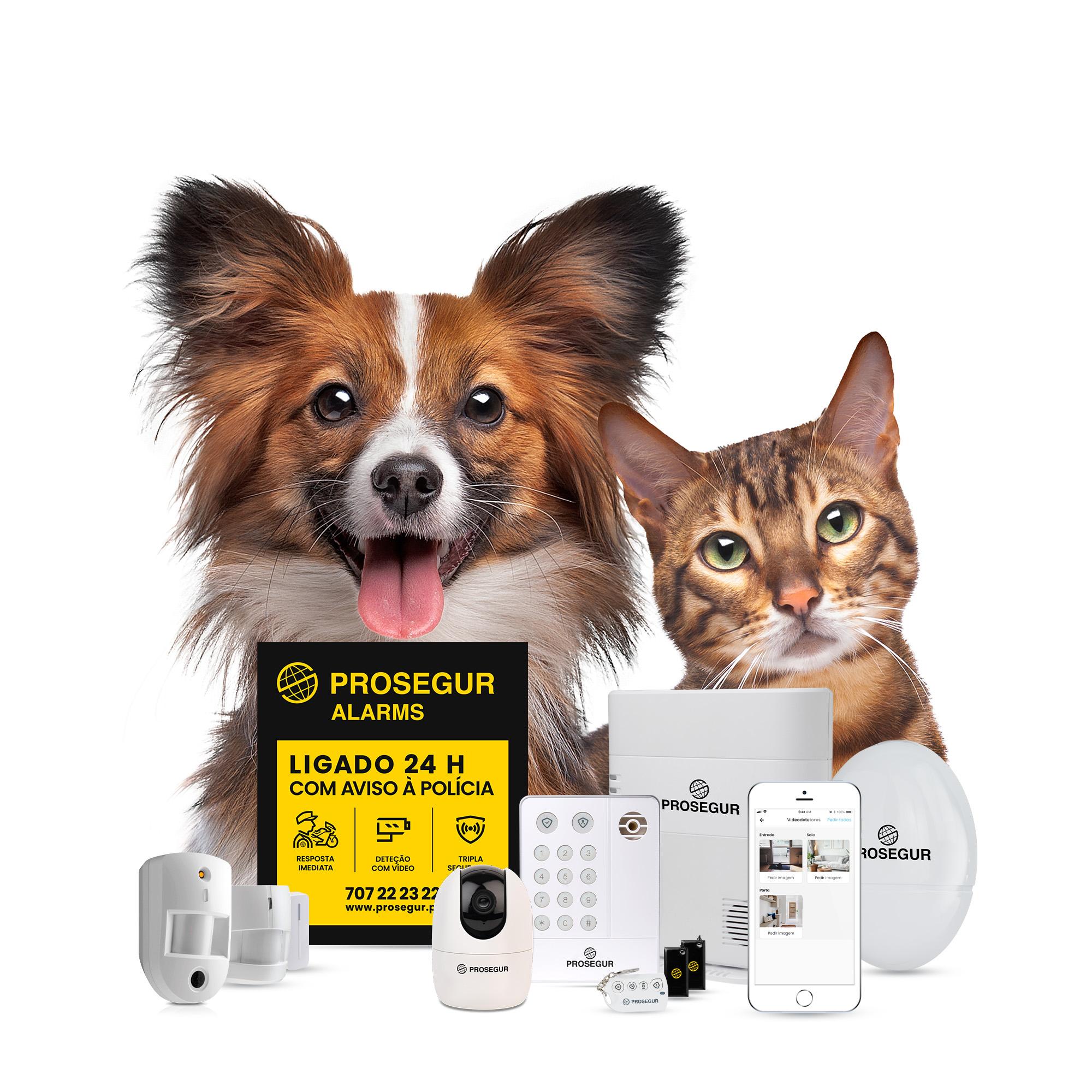 Alarmes e Segurança para Casas e Empresas | Prosegur Portugal